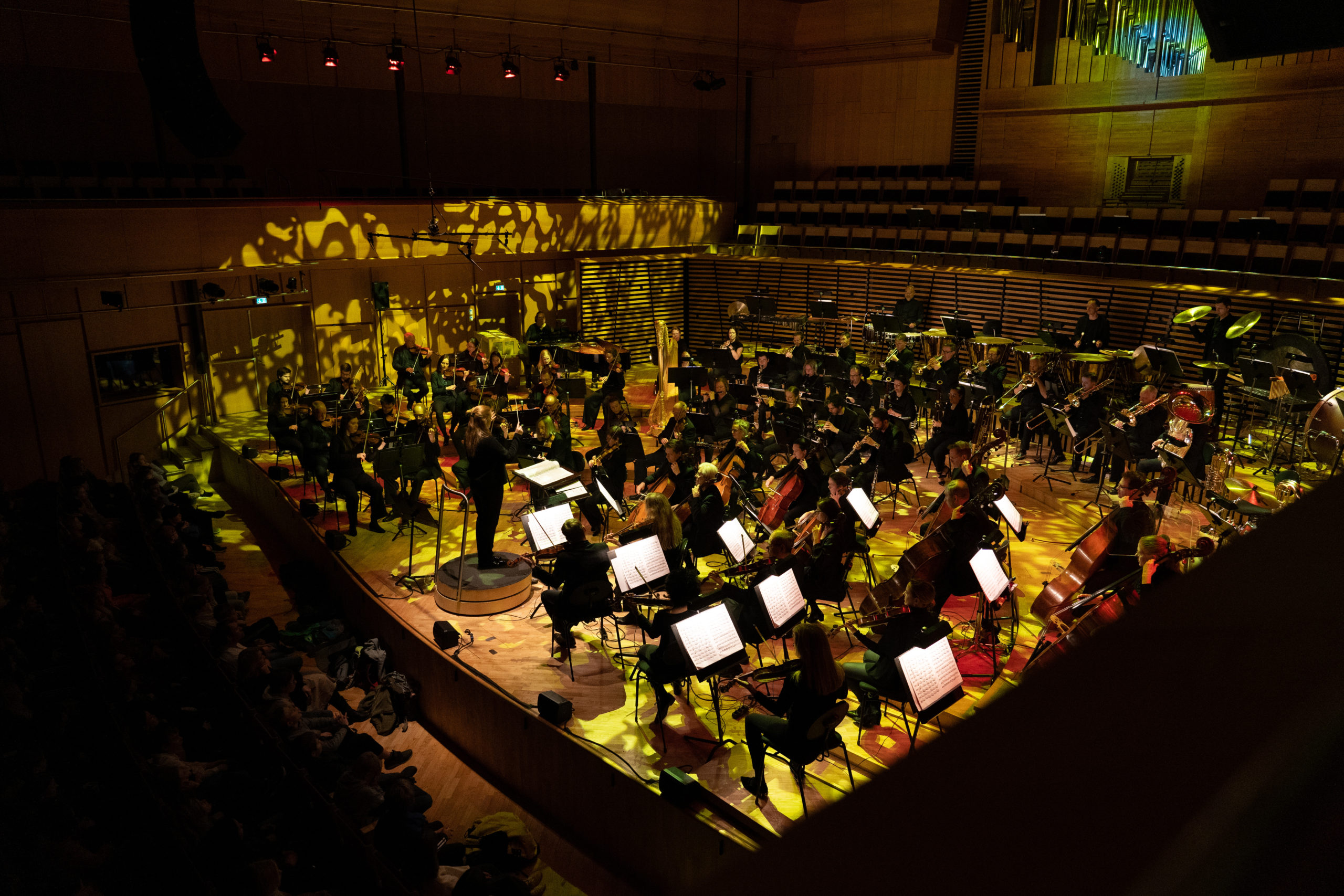 Position announcement: Assistant conductor for SSO in 2023 - Stavanger ...